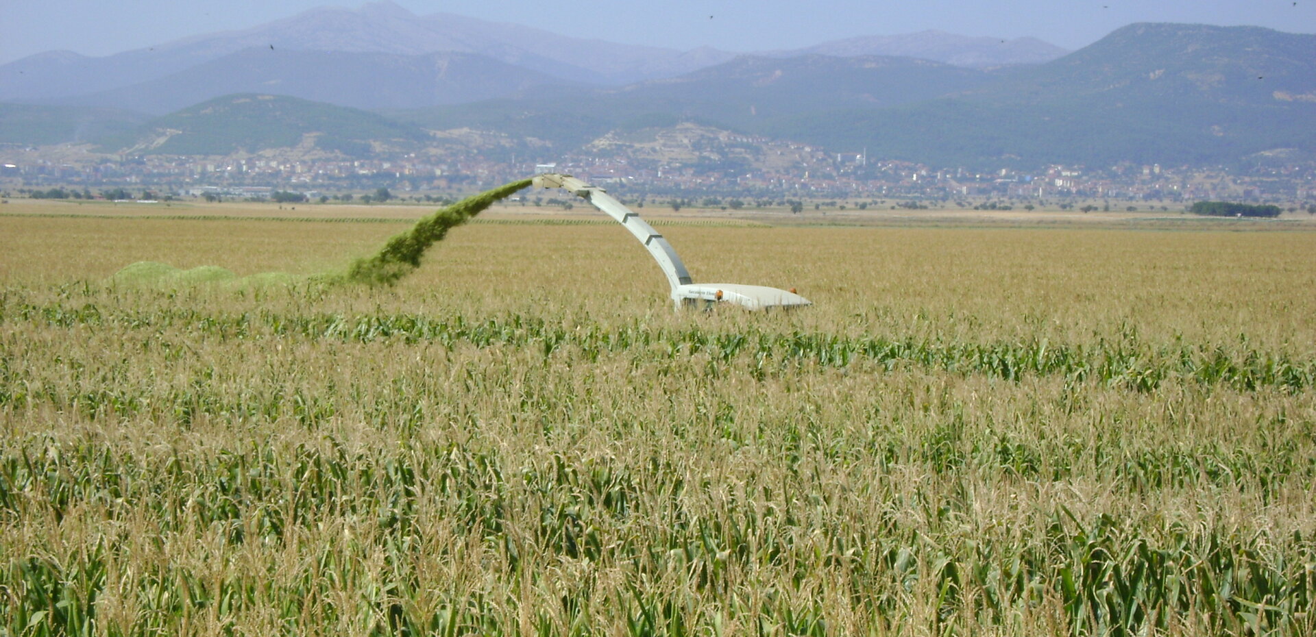 Home | Intelact Limited