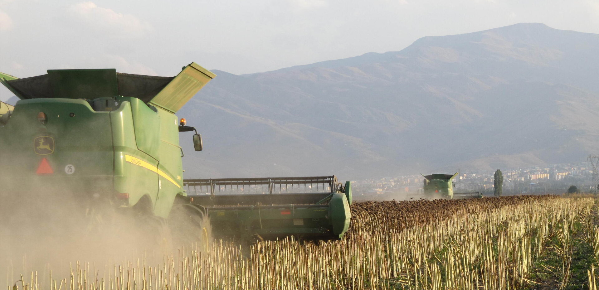 Home | Intelact Limited